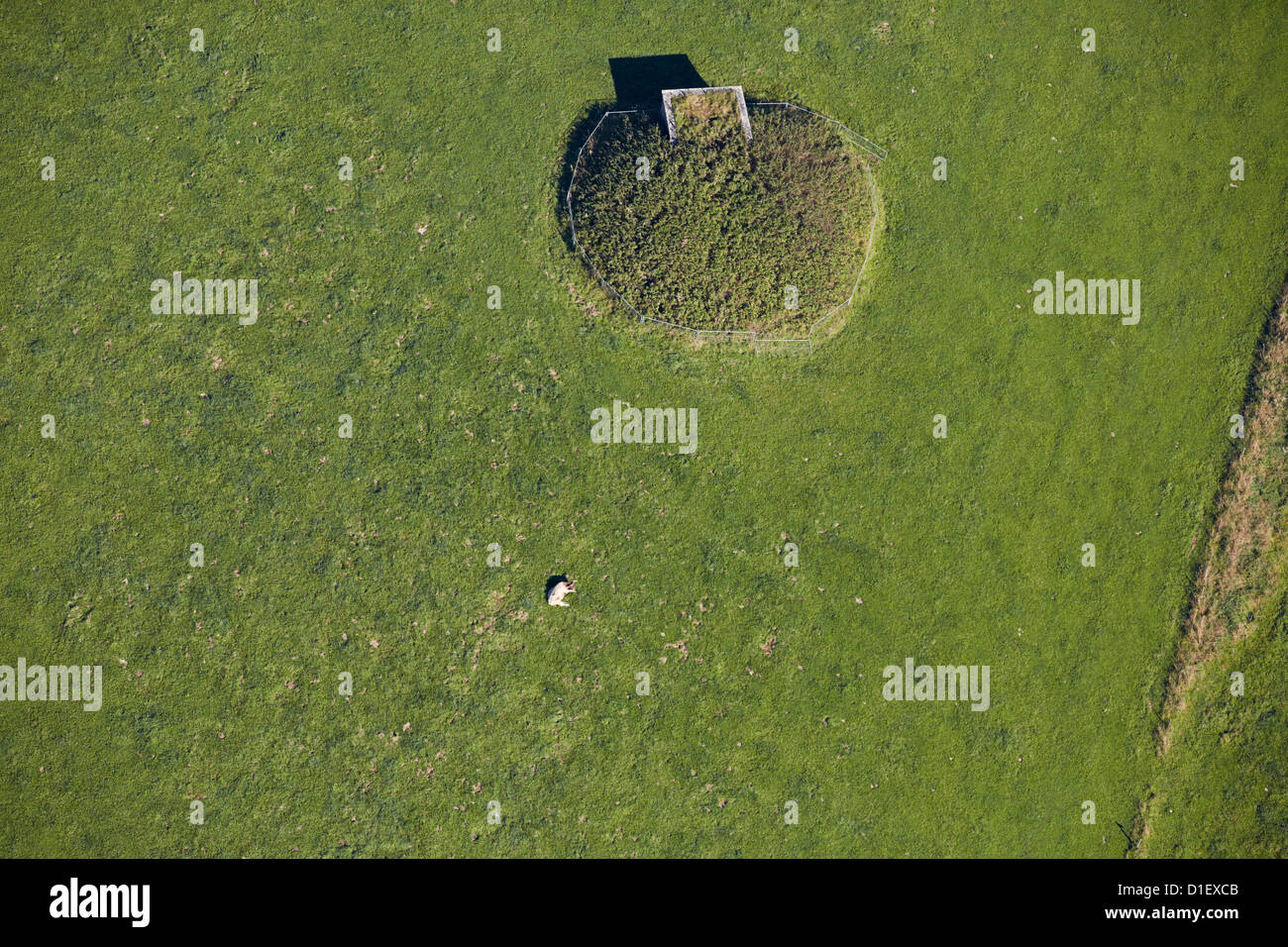 Pasture aerial germany hi-res stock photography and images - Alamy