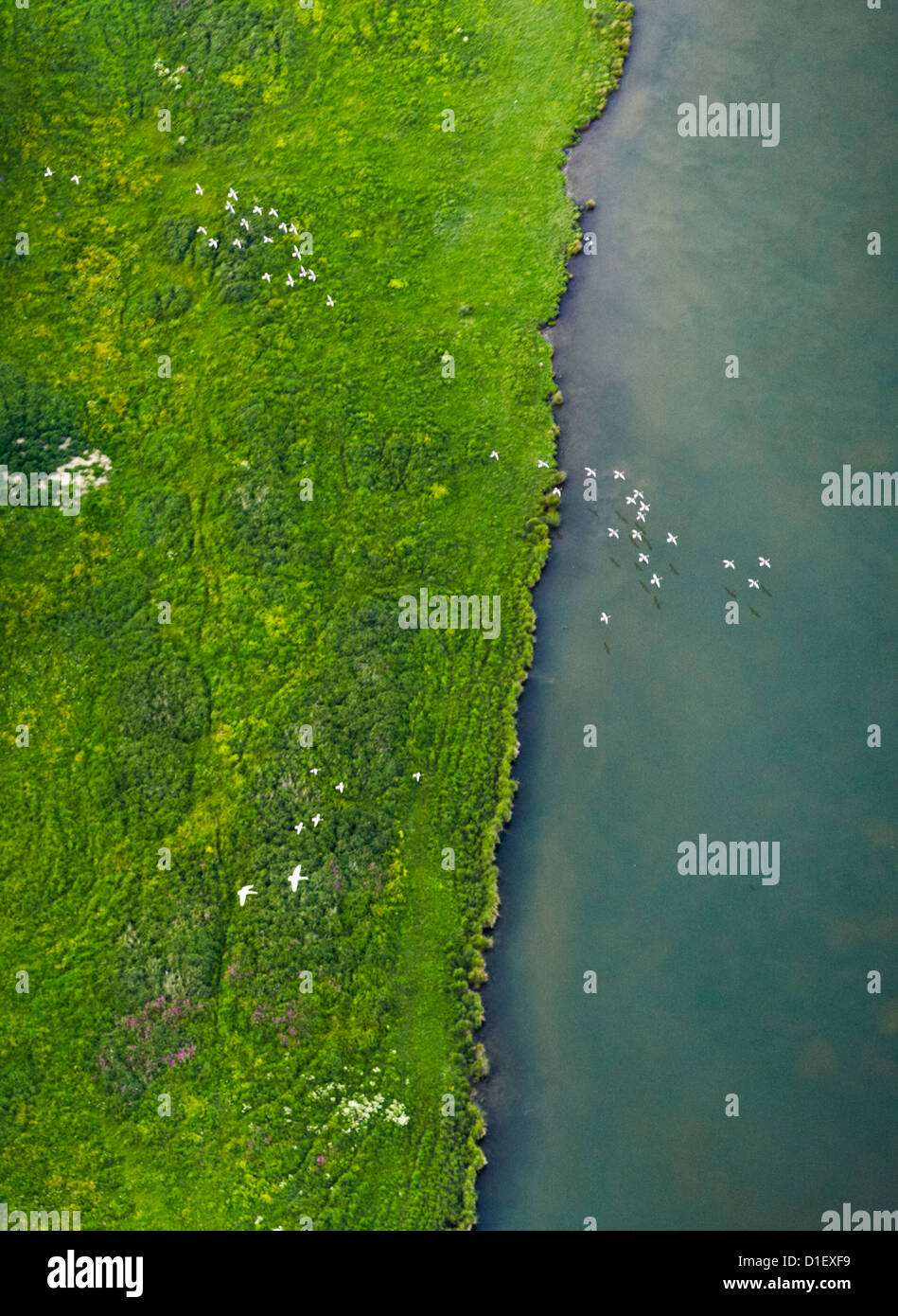 Birds eye view of a lake hi-res stock photography and images - Alamy