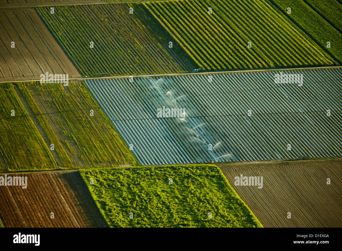 The fruit fields hi-res stock photography and images - Alamy