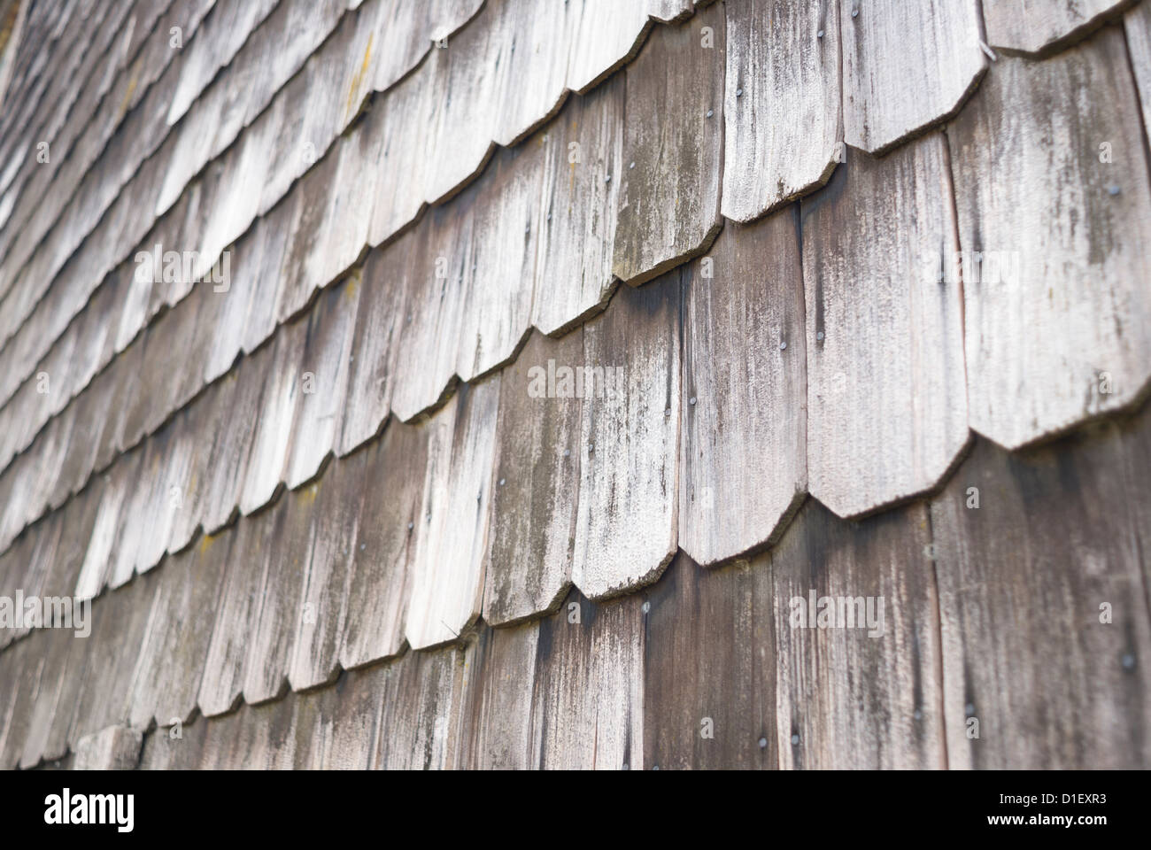 Larch shingles hi-res stock photography and images - Alamy