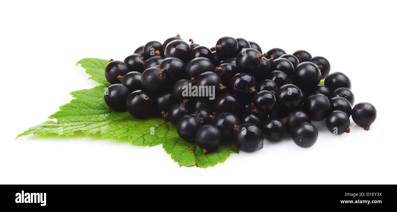 Currants hi-res stock photography and images - Alamy