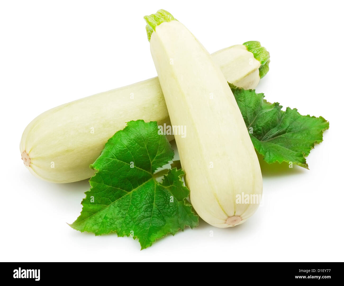 Fresh vegetable marrow with green leaf Stock Photo - Alamy