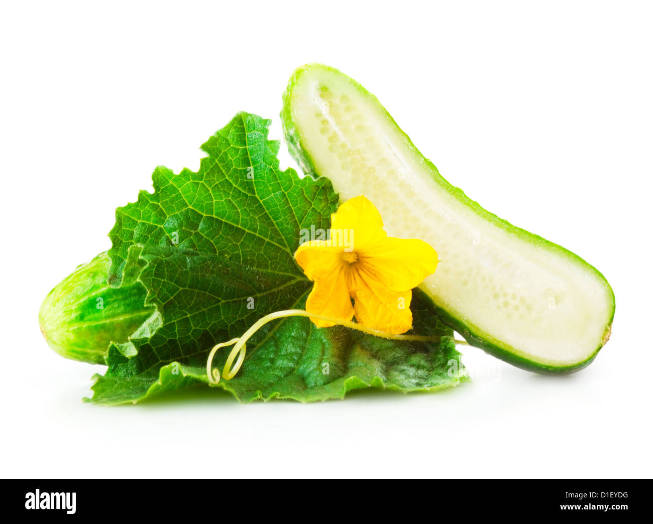 Cucumbers hi-res stock photography and images - Alamy