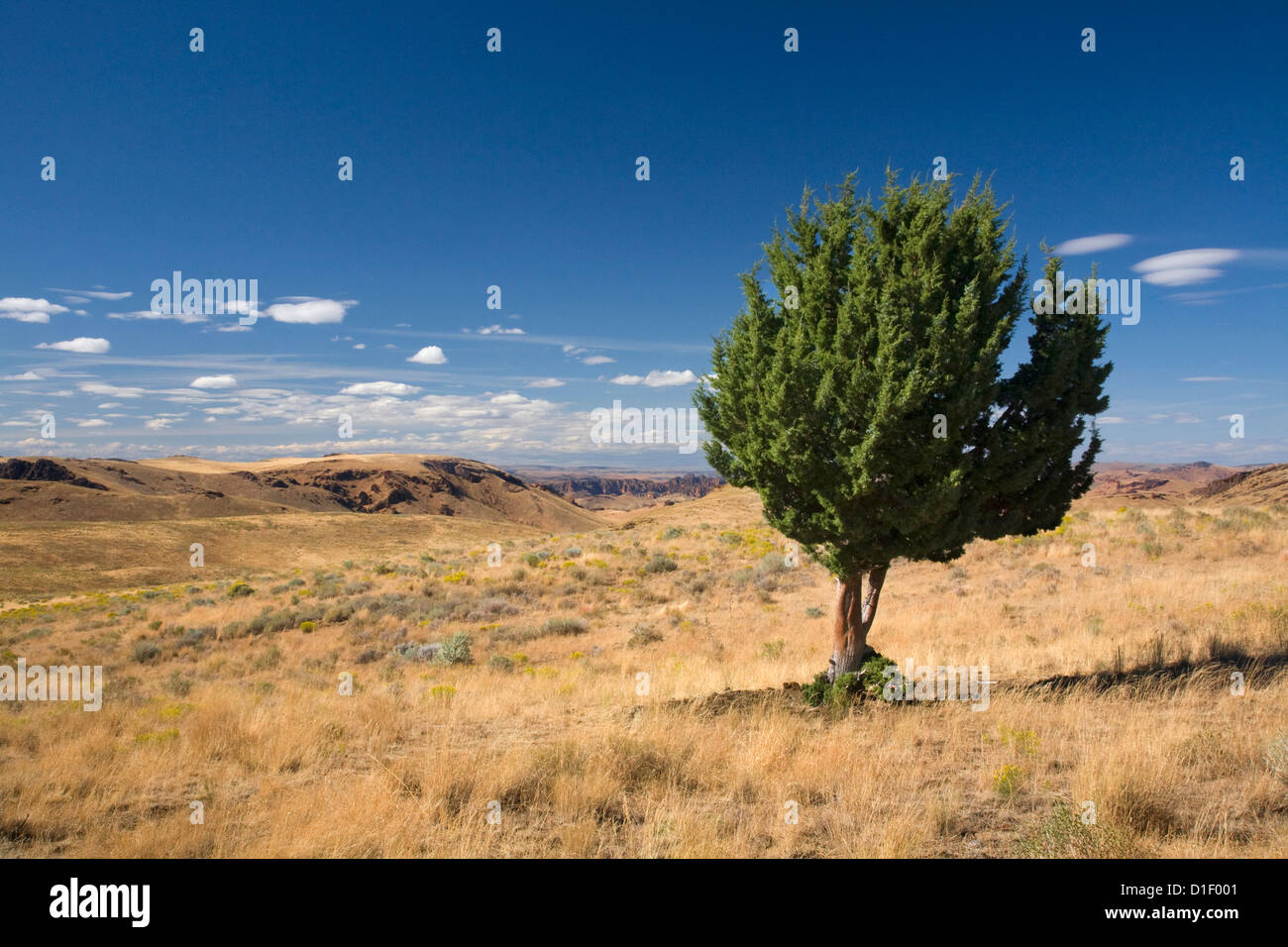 The lone prairie hi-res stock photography and images - Alamy