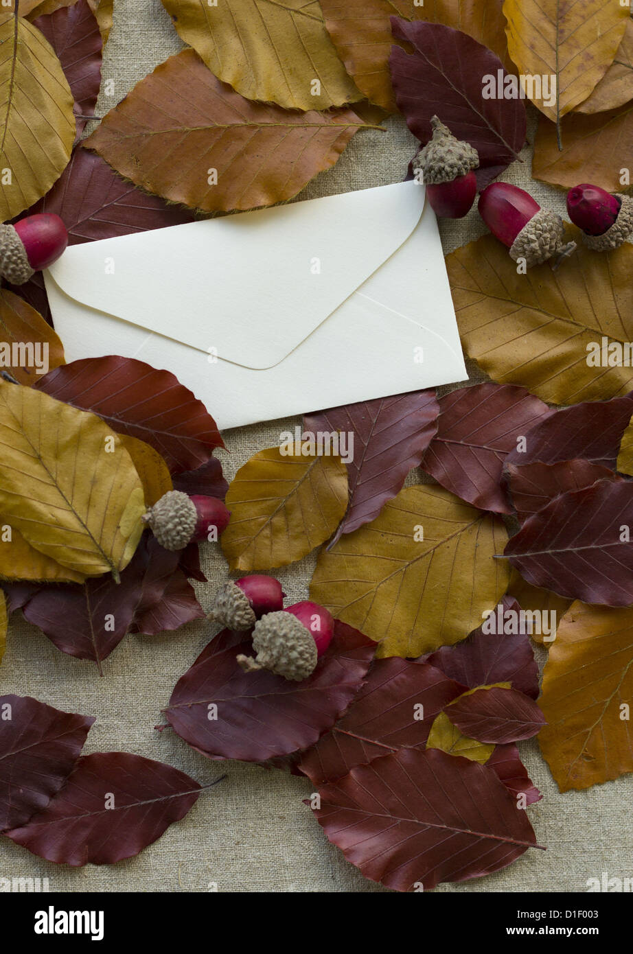 Fallen leaves and a letter Stock Photo - Alamy