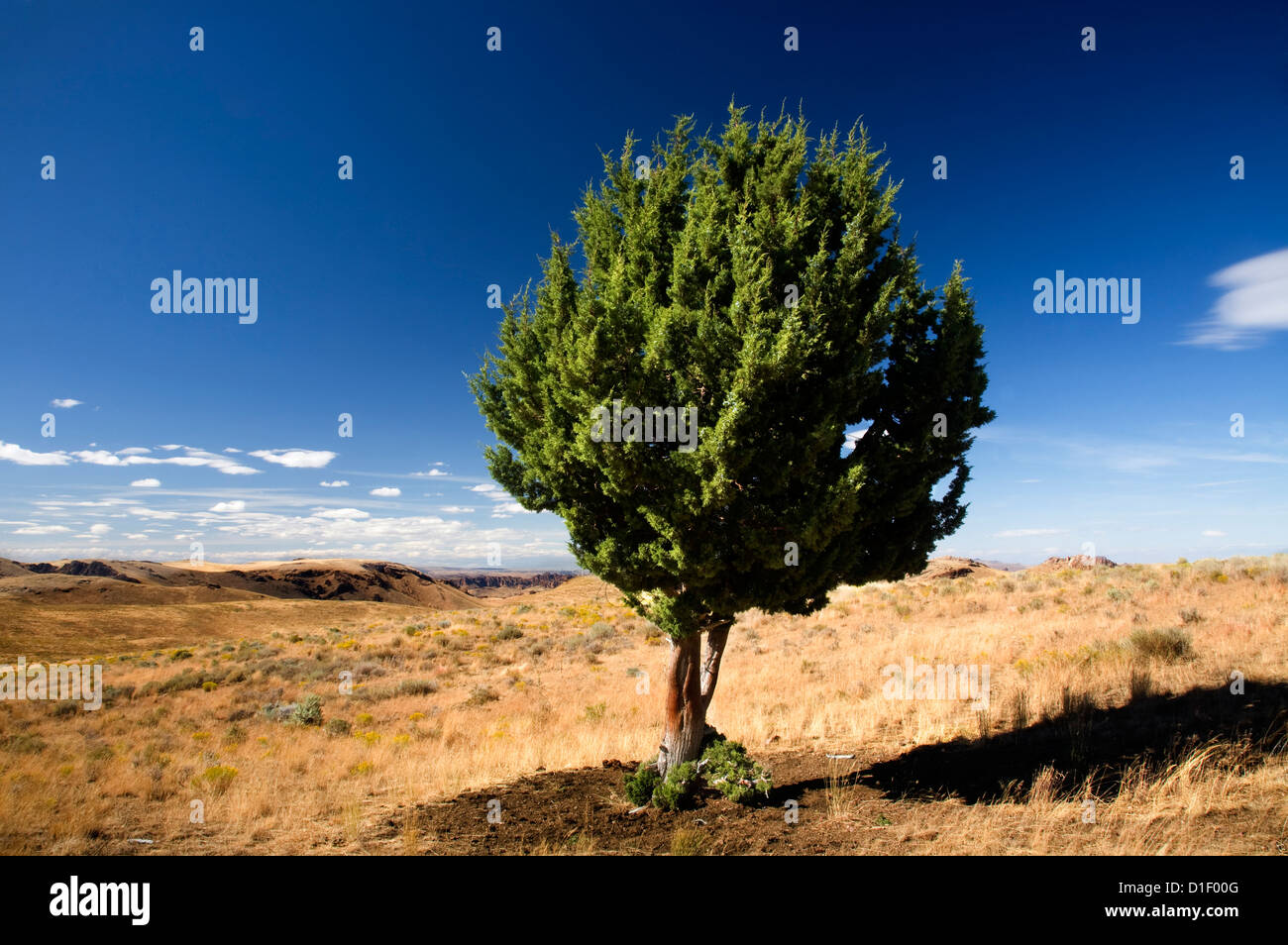 Succor oregon hi-res stock photography and images - Alamy
