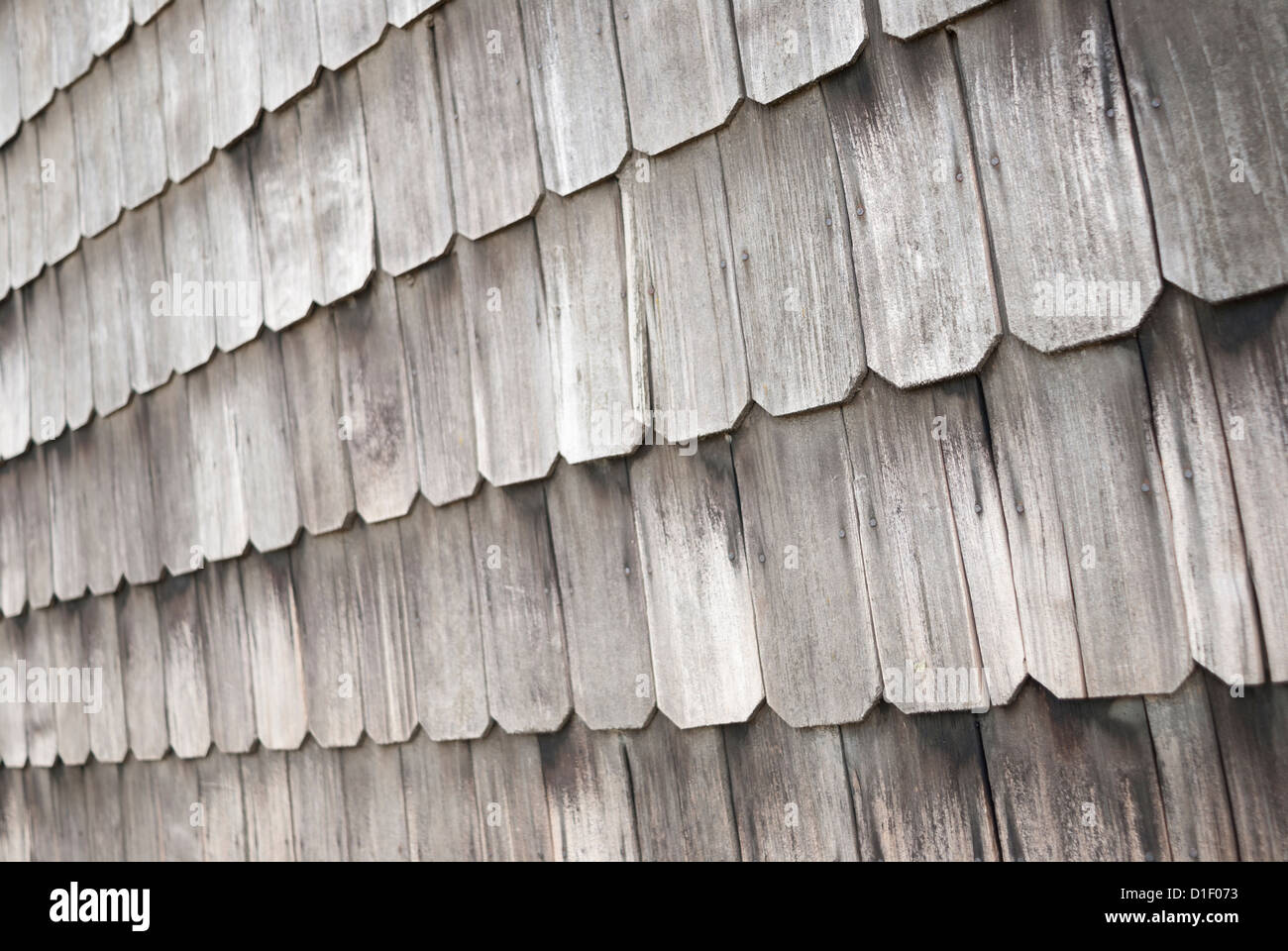 Larch shingles hi-res stock photography and images - Alamy