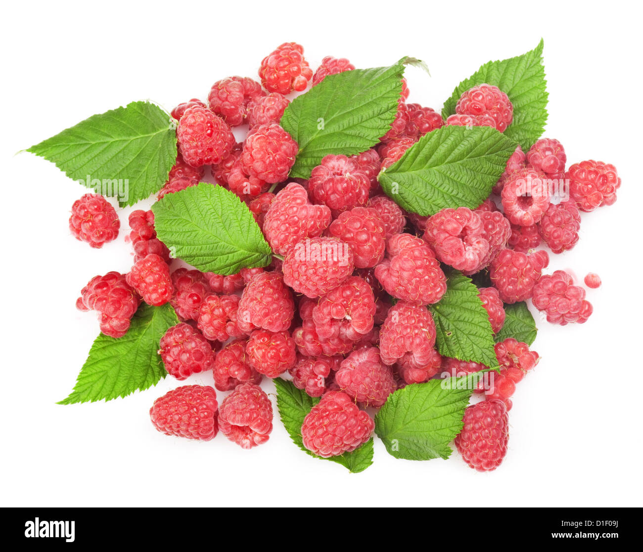 Fresh raspberry with green leaf on white background Stock Photo - Alamy