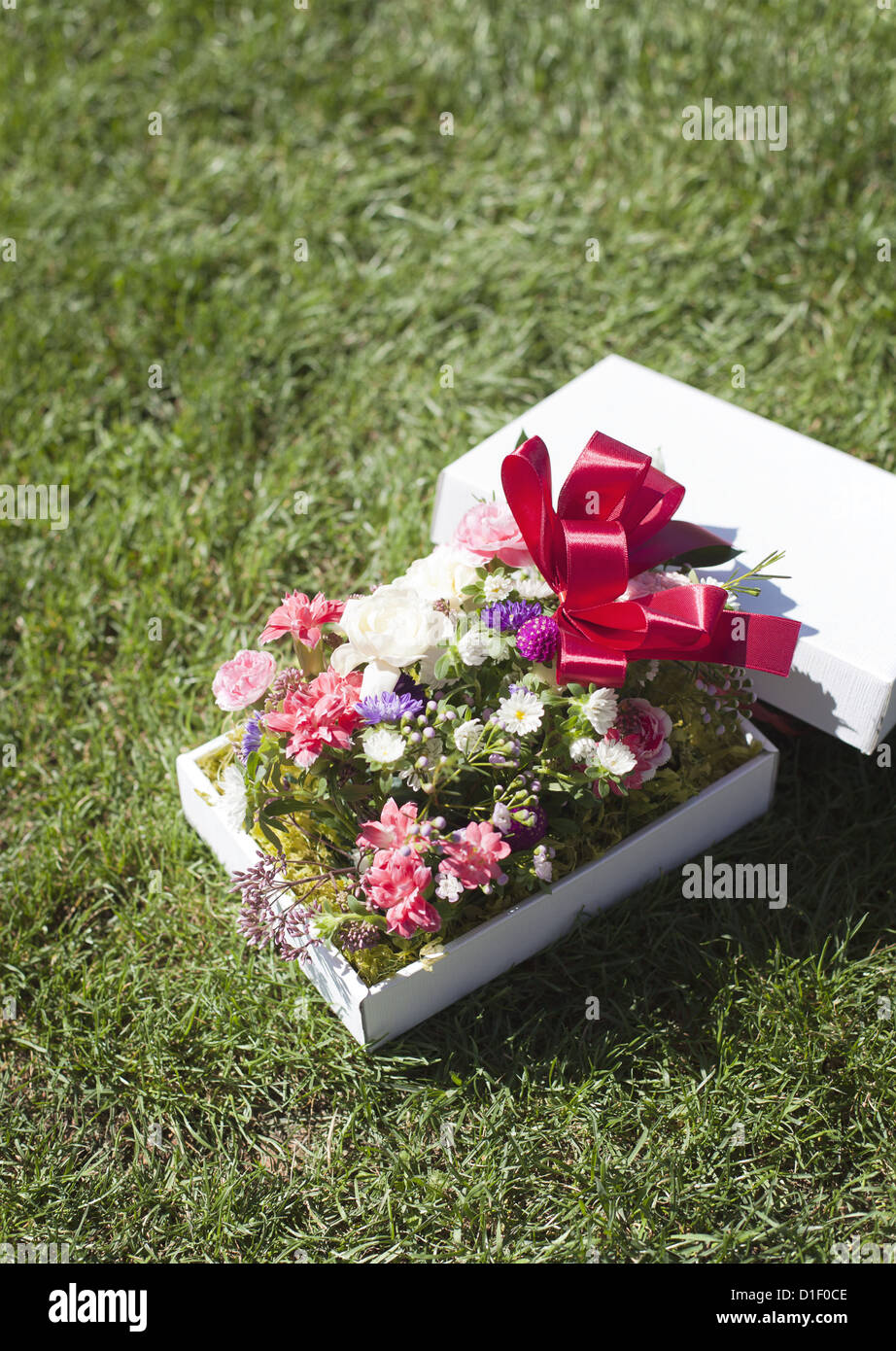 Flower arrangement in a gift box Stock Photo - Alamy