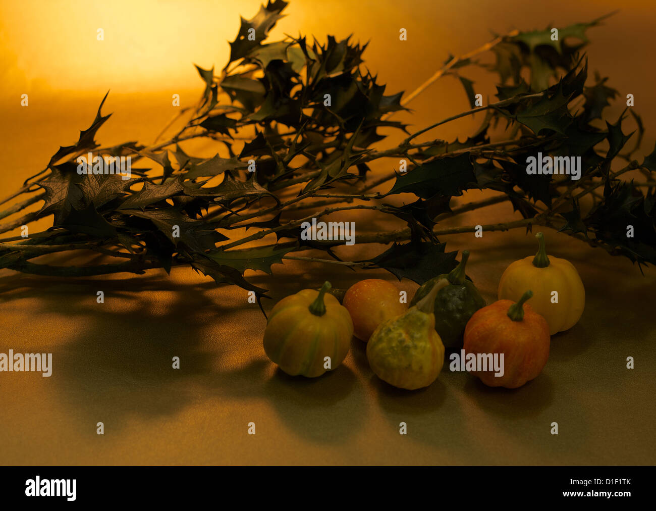 Holly branches hi-res stock photography and images - Alamy