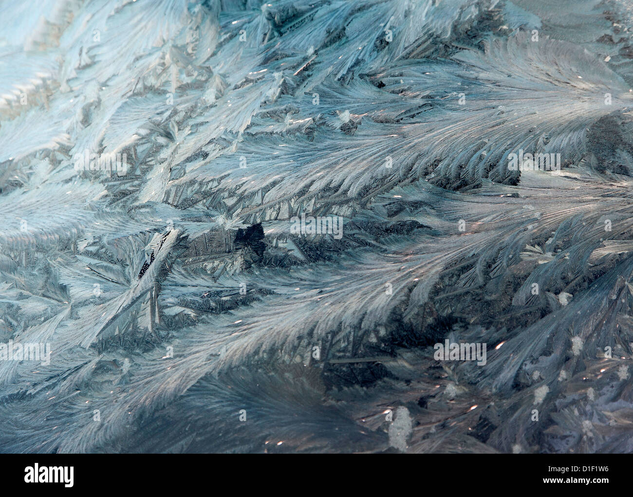 Frost pattern on car windscreen hi-res stock photography and images - Alamy