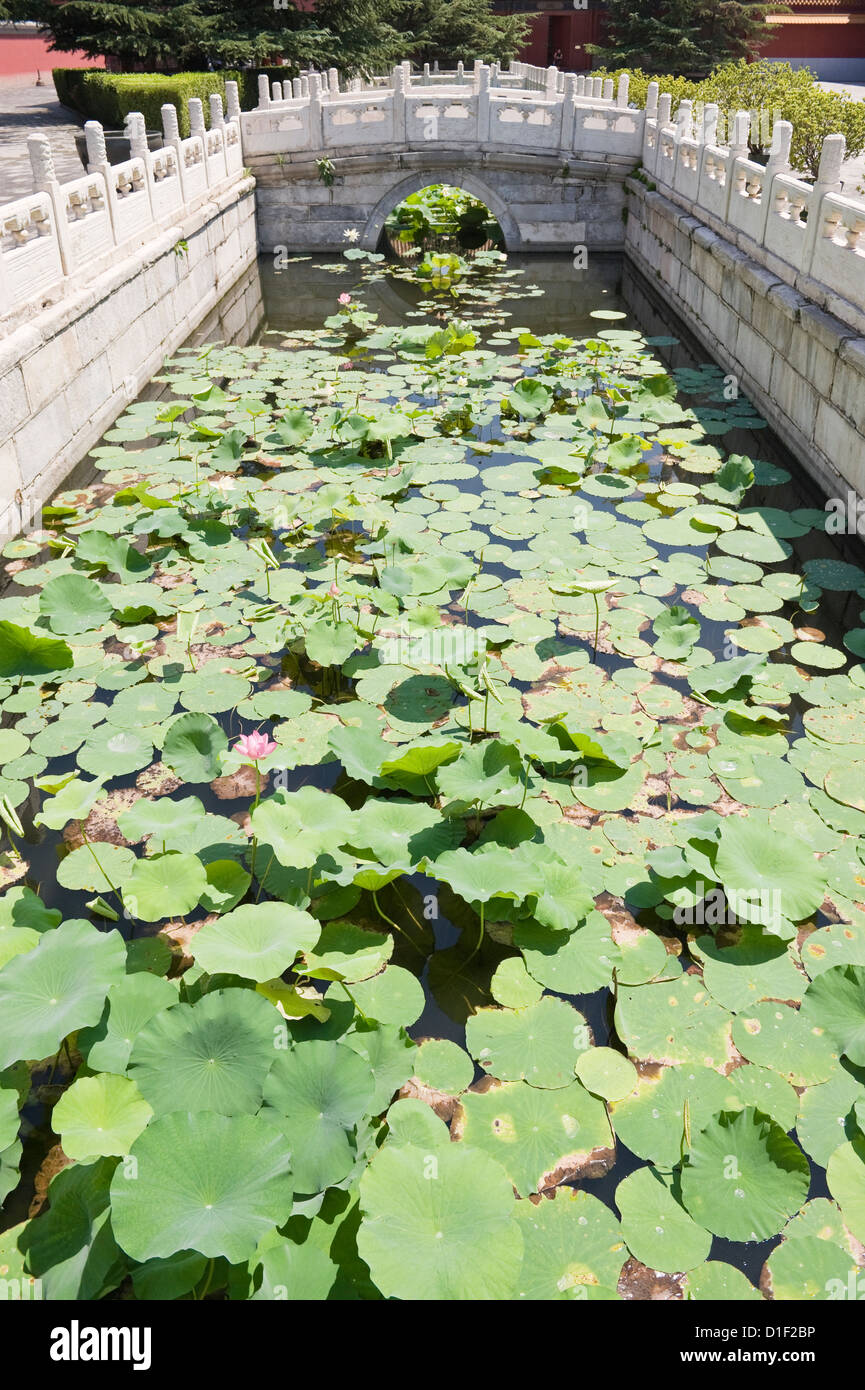 Lily pond in China Stock Photo - Alamy