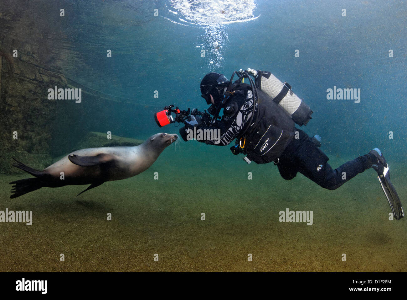 Karlsruhe zoo germany hi-res stock photography and images - Alamy