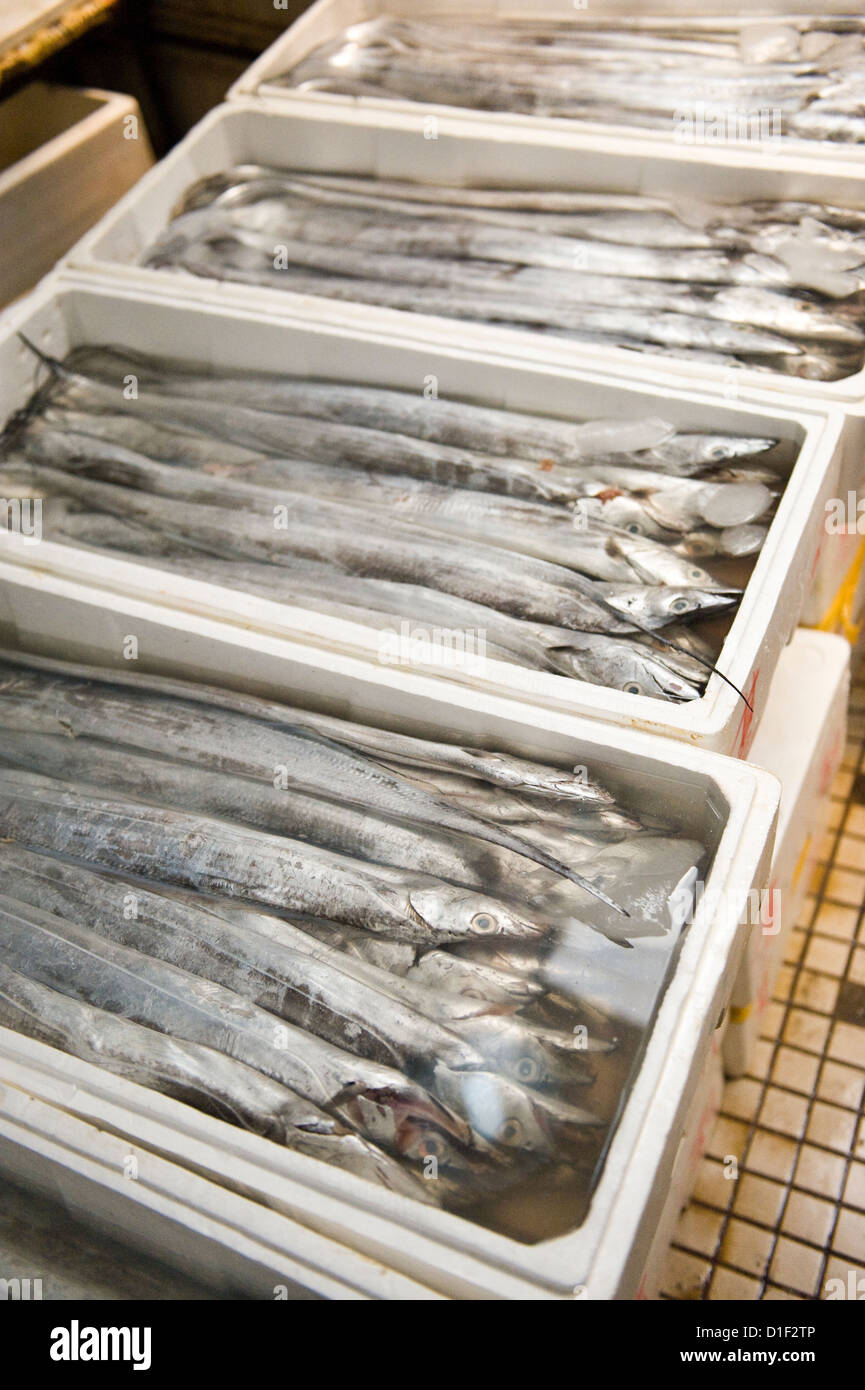 silver fish at market Stock Photo - Alamy