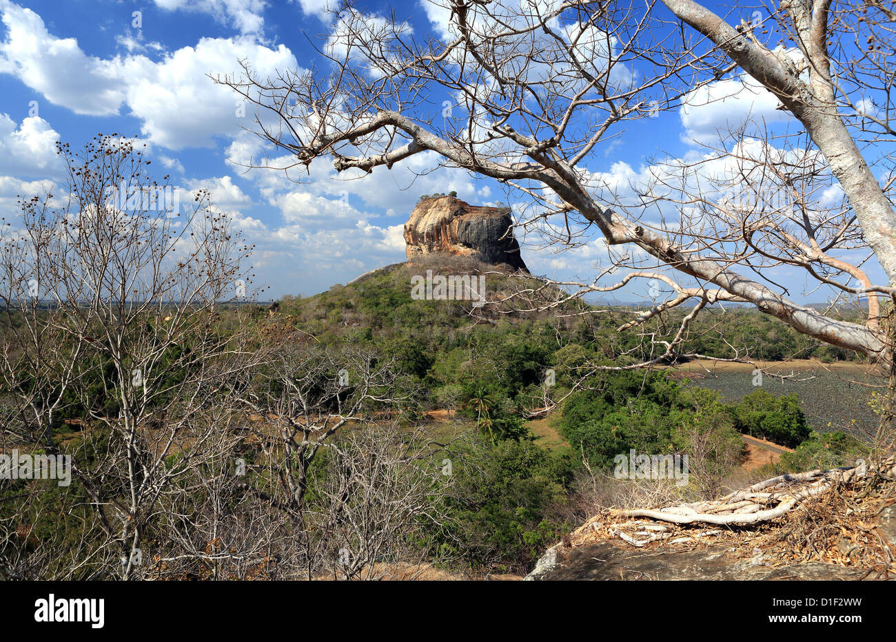 Sigiriya Lion's rock ancient fortress and palace ruin in Sigiriya, Sri ...