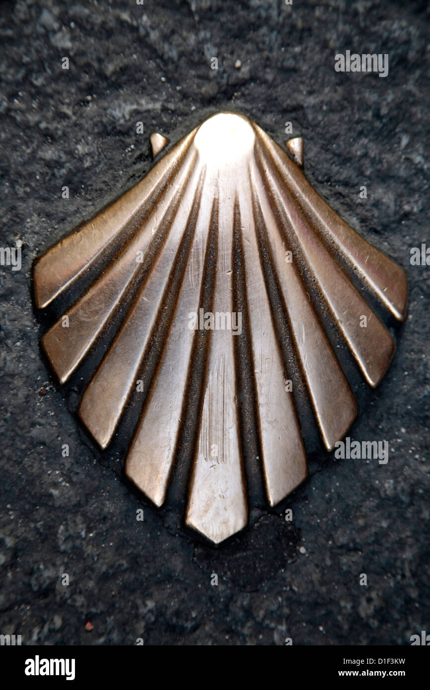 Pilgrim shell hi-res stock photography and images - Alamy