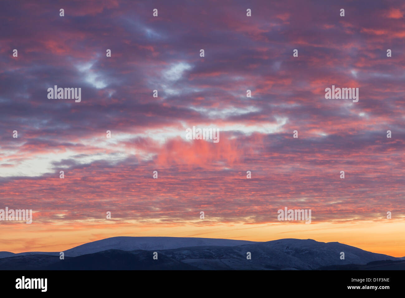 Cheviot hills winter hi-res stock photography and images - Alamy