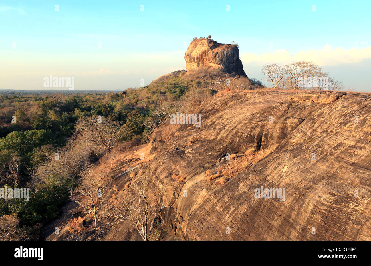 Sigiriya Lion's rock ancient fortress and palace ruin in Sigiriya, Sri ...
