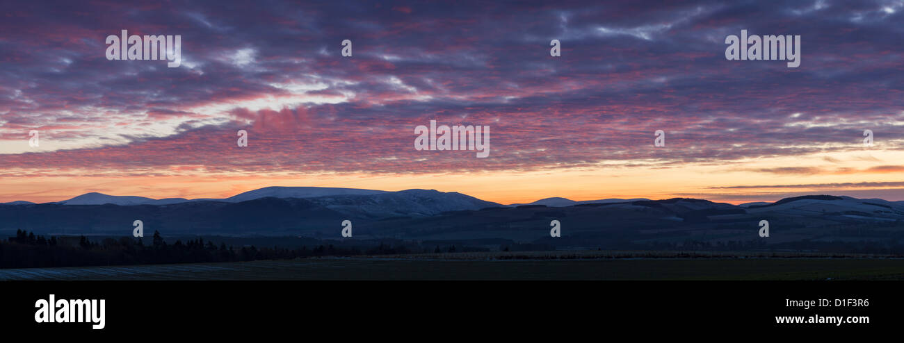 Cheviots uk hi-res stock photography and images - Alamy