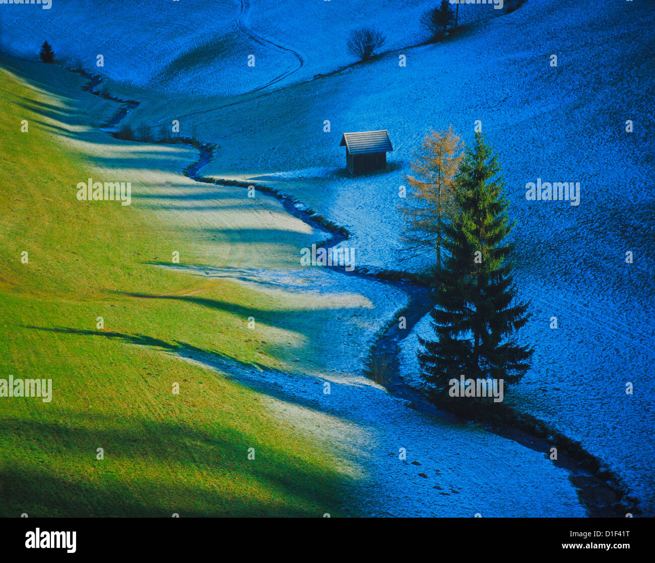 Alpine meadow in partial shade, Tulfes, Tyrol, Austria Stock Photo - Alamy