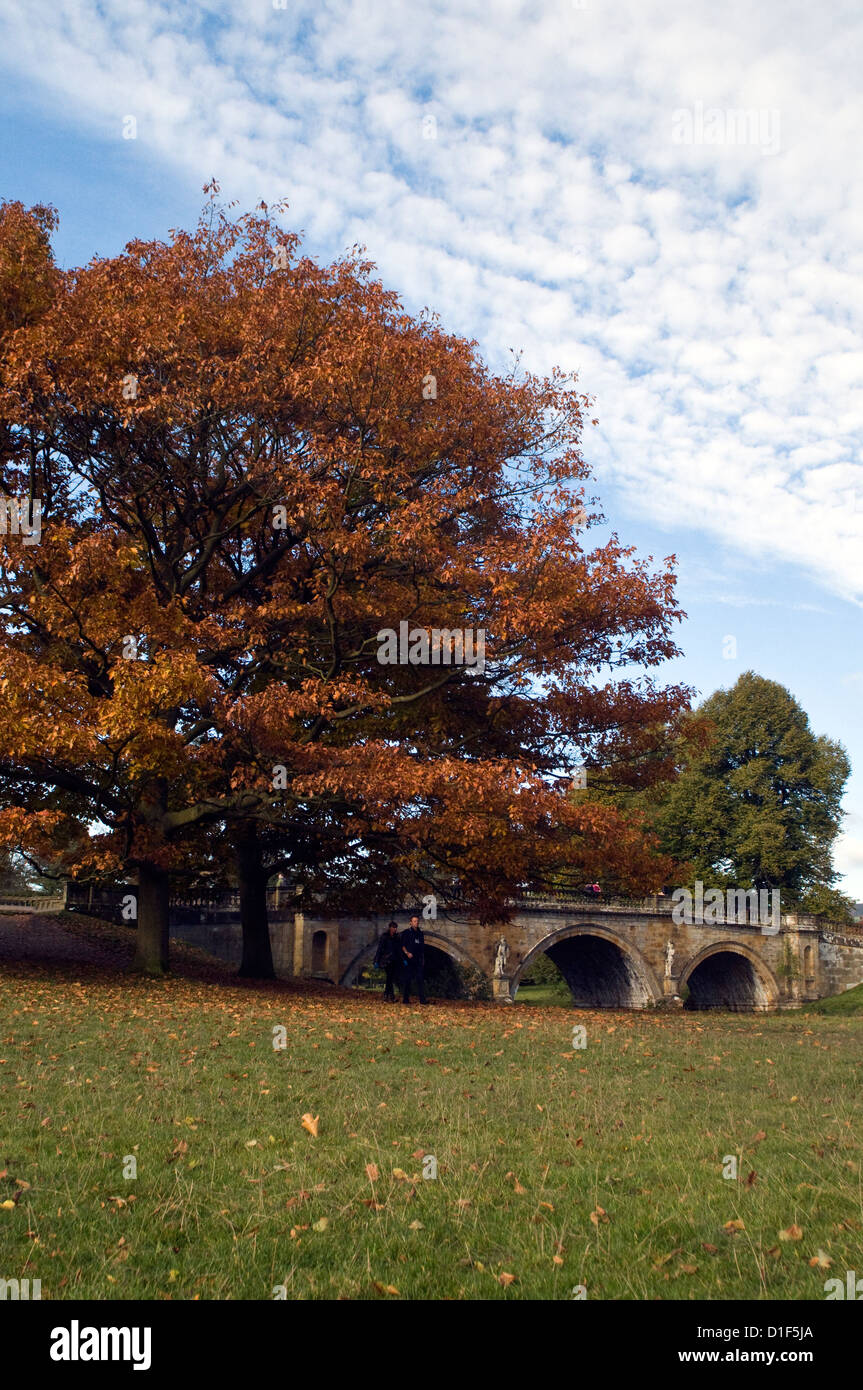 Autumn on the estate Stock Photo - Alamy