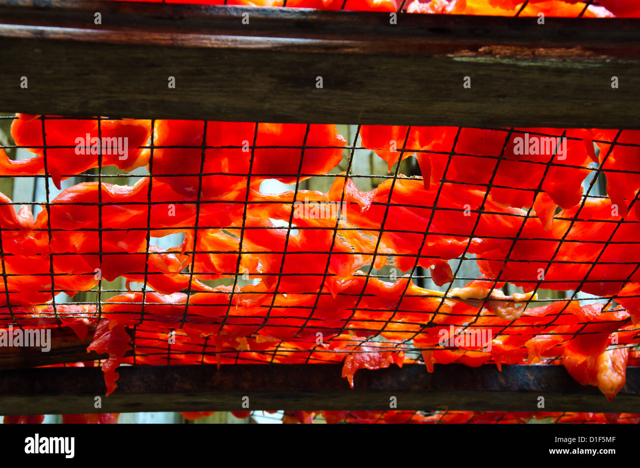 Dried meat is preserved by the light of sun, Thai food. Photography ant ...