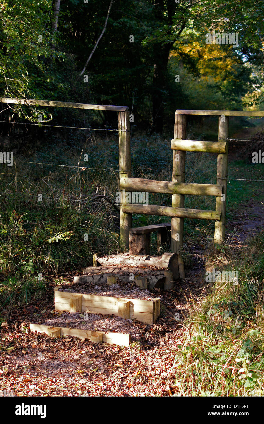 Woodland wooden steps hi-res stock photography and images - Alamy