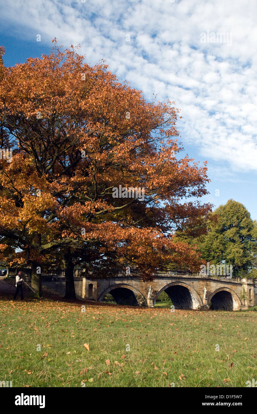 Autumn at the estate hi-res stock photography and images - Alamy