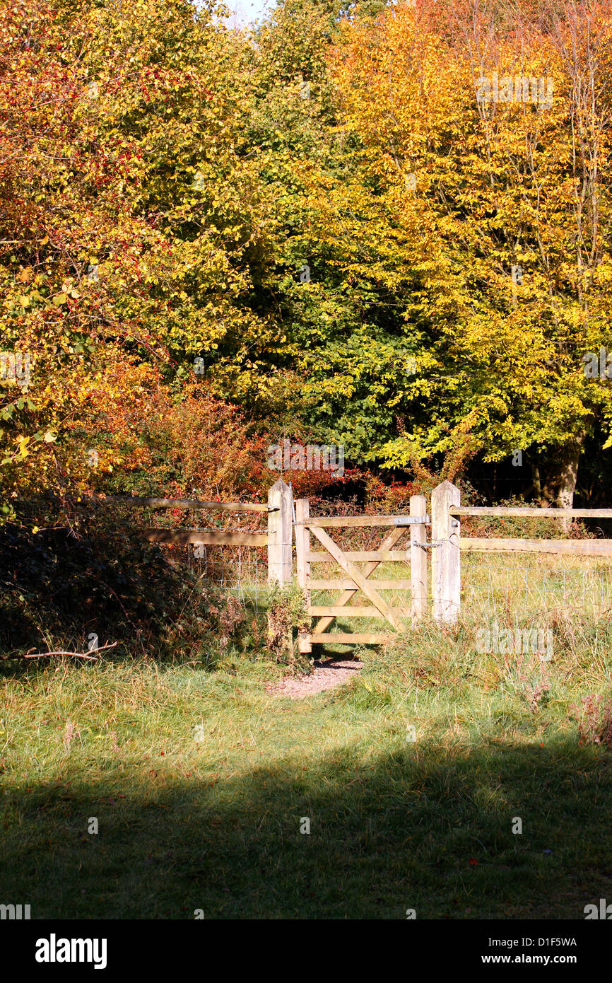 AUTUMN GATEWAY. HATFIELD FOREST ESSEX UK Stock Photo - Alamy