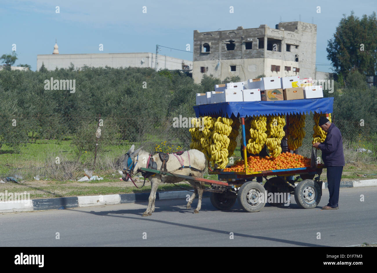 A donkey cart in loaded with fruits in Gaza city, Palestinian ...