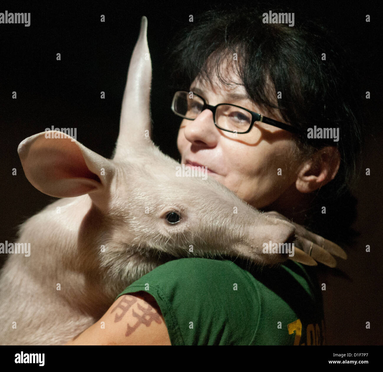 A nameless male aardvark snuggles with his keeper at the zoo in Berlin ...