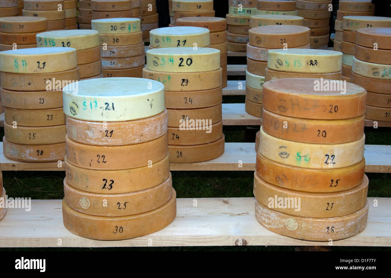Piles of Swiss alpine cheese truckles Stock Photo - Alamy