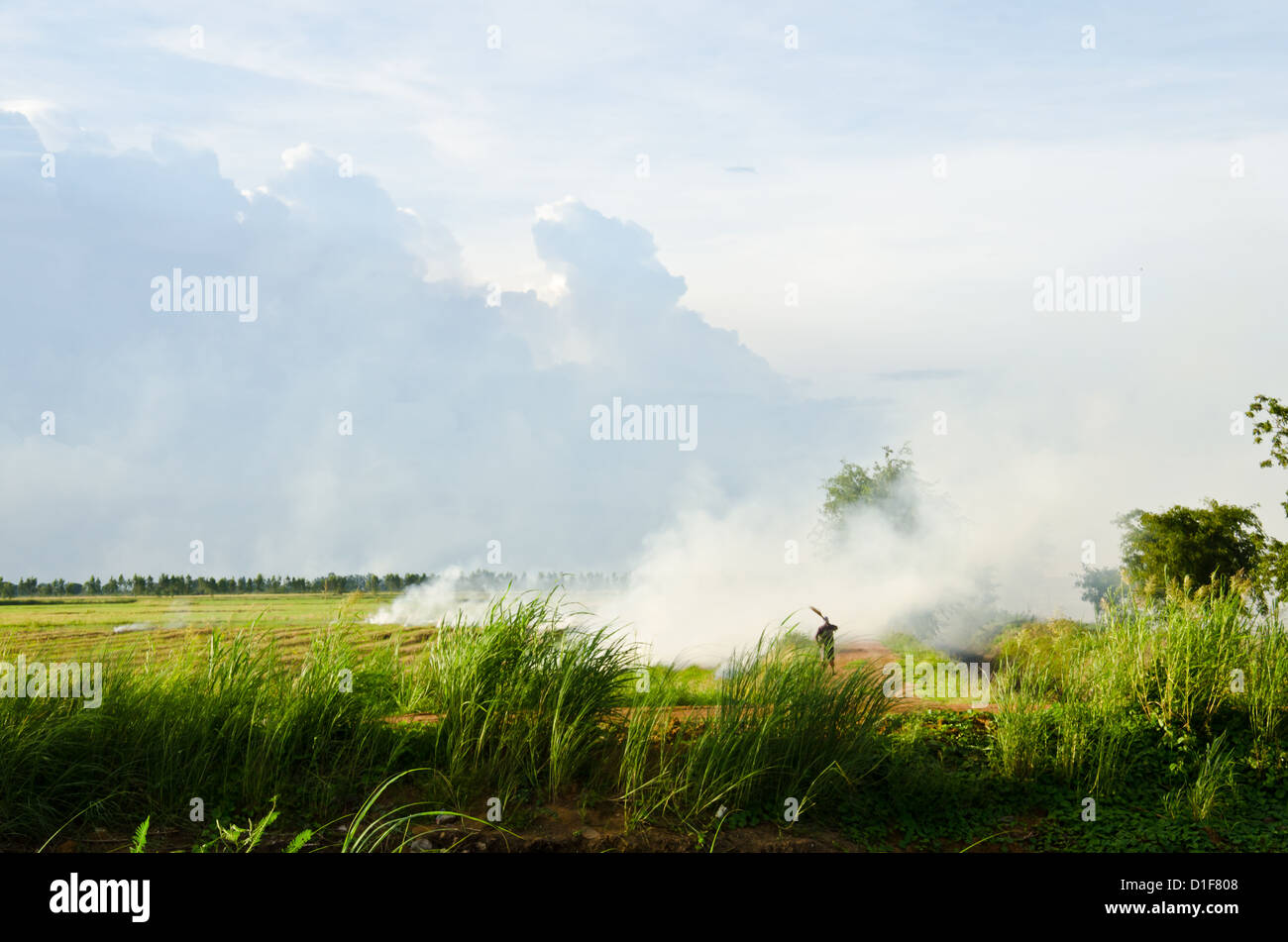 Burning tree ranch hi-res stock photography and images - Alamy