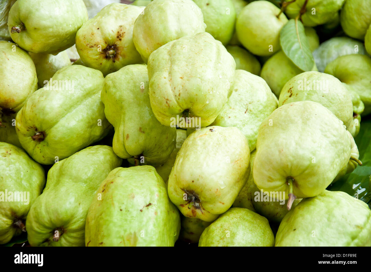 Green guava hi-res stock photography and images - Alamy