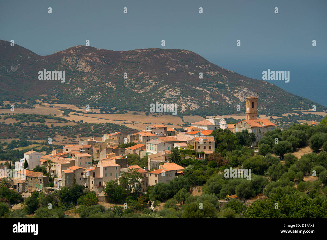 An elevated view of the picturesque village of Aregno in the inland ...