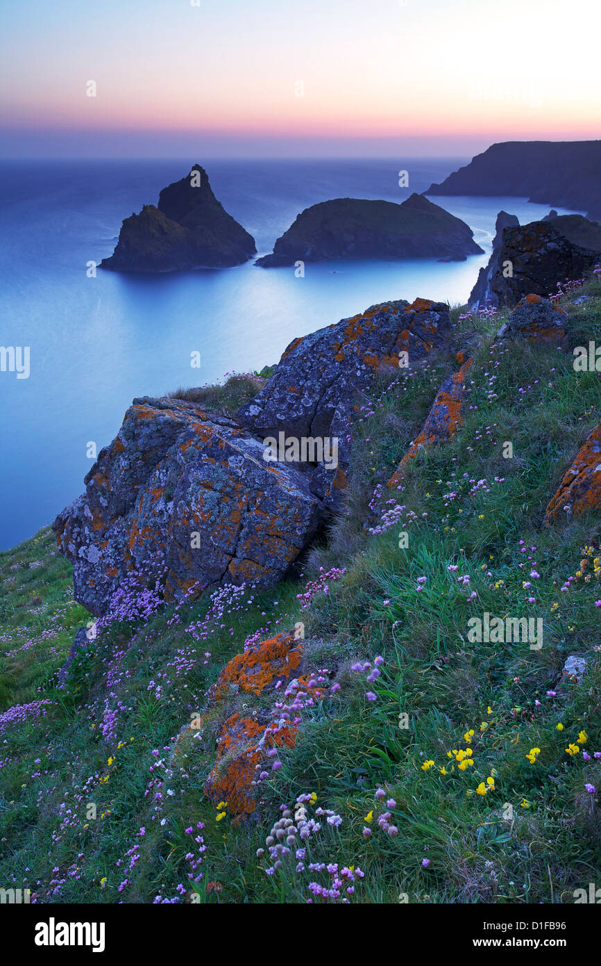 Kynance Cove, The Lizard, Cornwall, England, United Kingdom, Europe ...