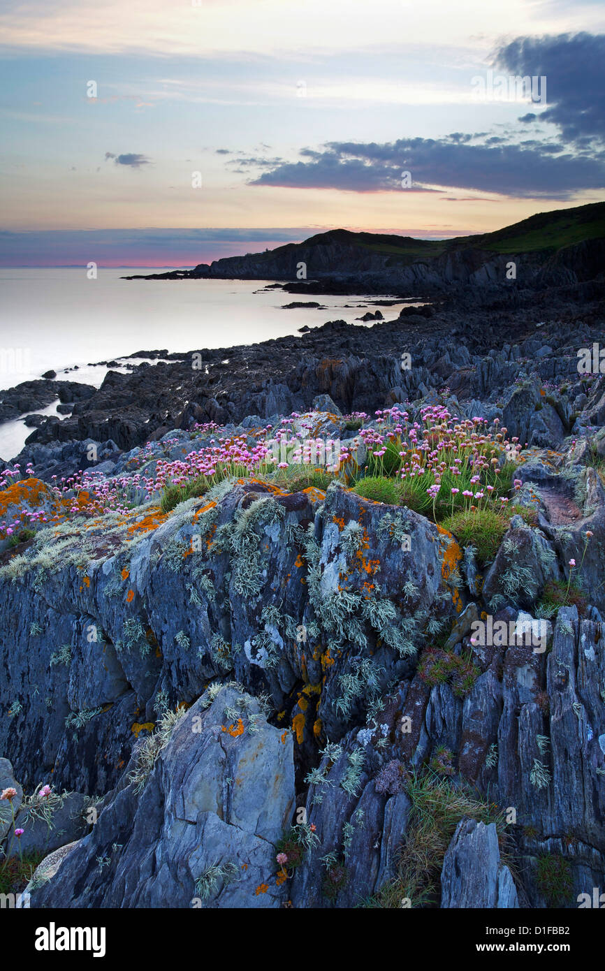 Bull Point, North Devon, Devon, England, United Kingdom, Europe Stock ...