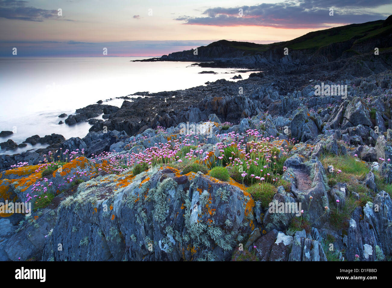 Bull Point, North Devon, Devon, England, United Kingdom, Europe Stock ...