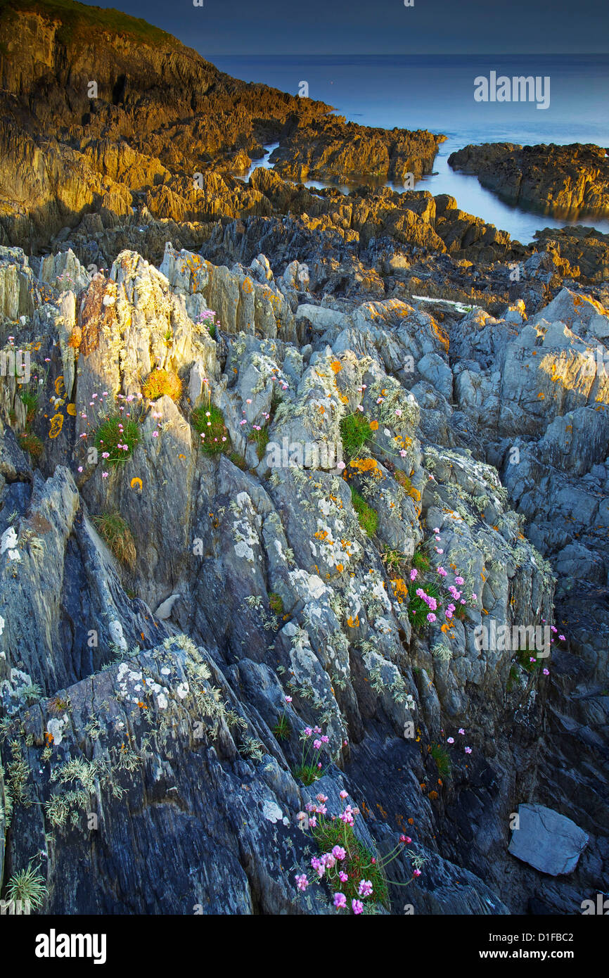 Morte Point, Devon, England, United Kingdom, Europe Stock Photo - Alamy