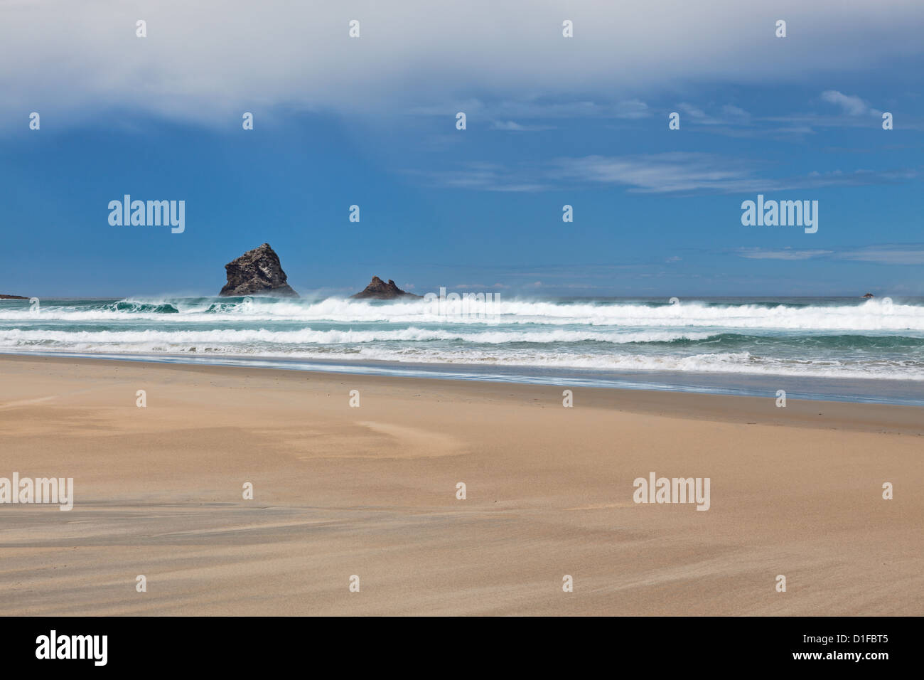 Sandfly bay, dunedin hi-res stock photography and images - Alamy