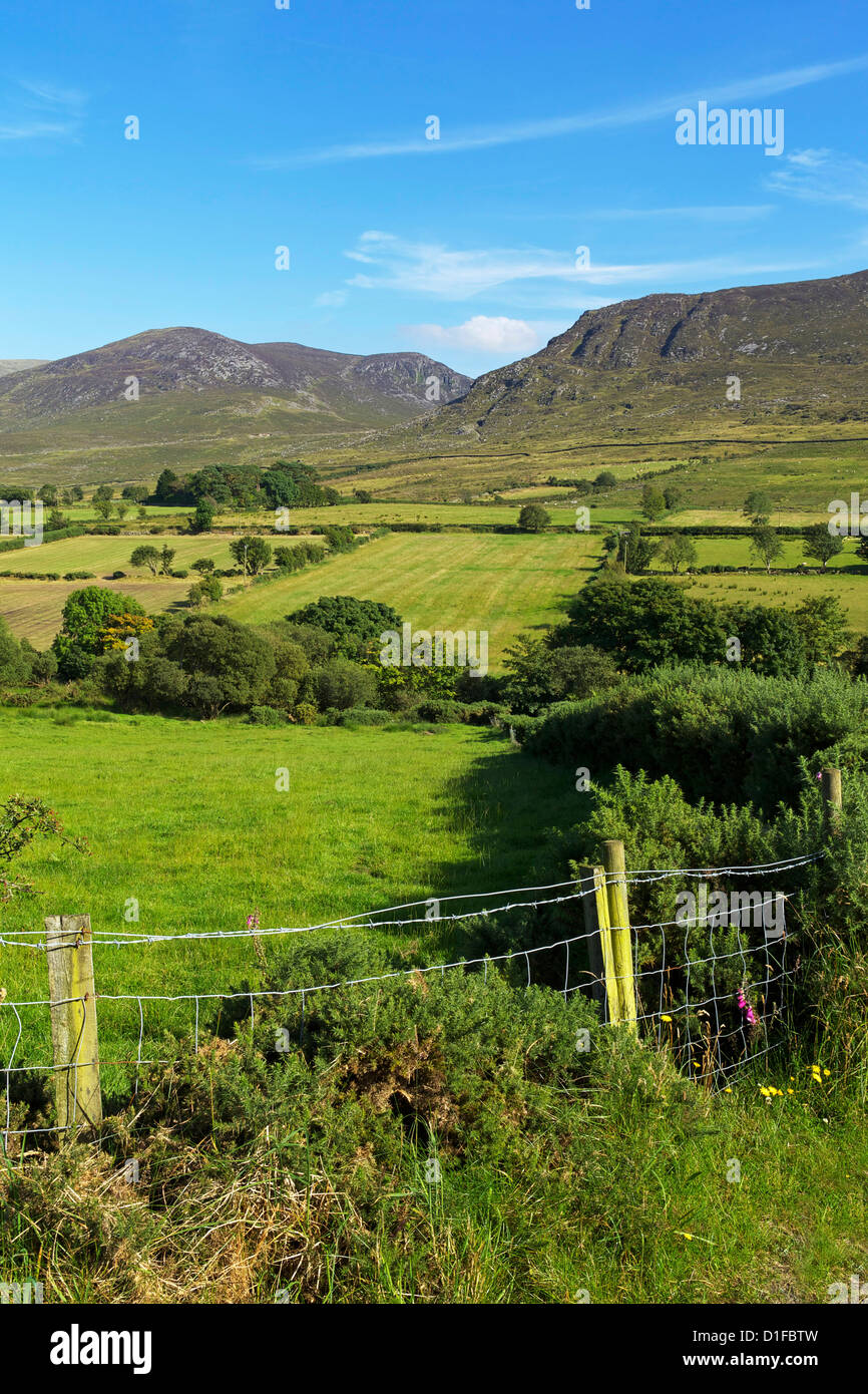 Slievenaglogh, Mourne Mountains, County Down, Ulster, Northern Ireland ...