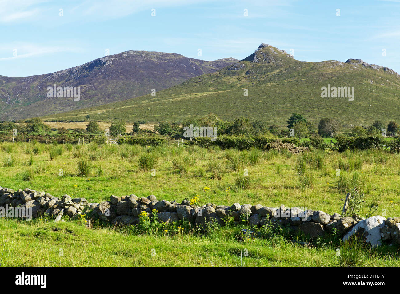 Rocky Mountain, Mourne Mountains, County Down, Ulster, Northern Ireland ...