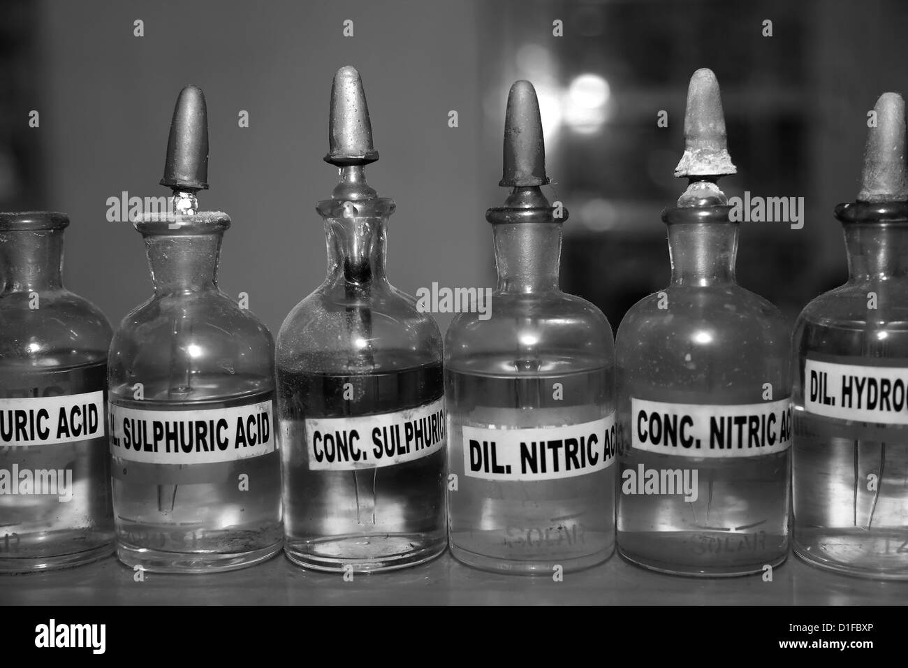 Raw poisonous Black and White Stock Photos & Images - Alamy