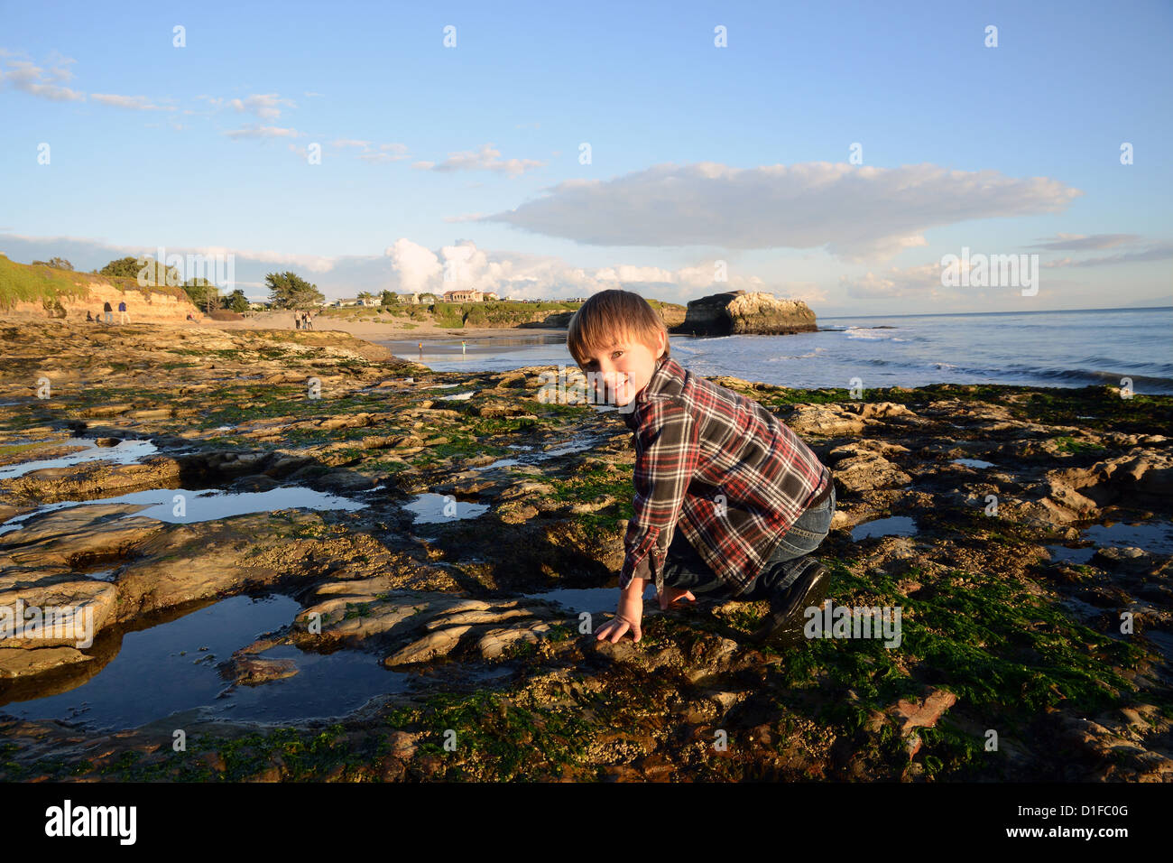 Santa cruz natural bridges state beach hi-res stock photography and ...