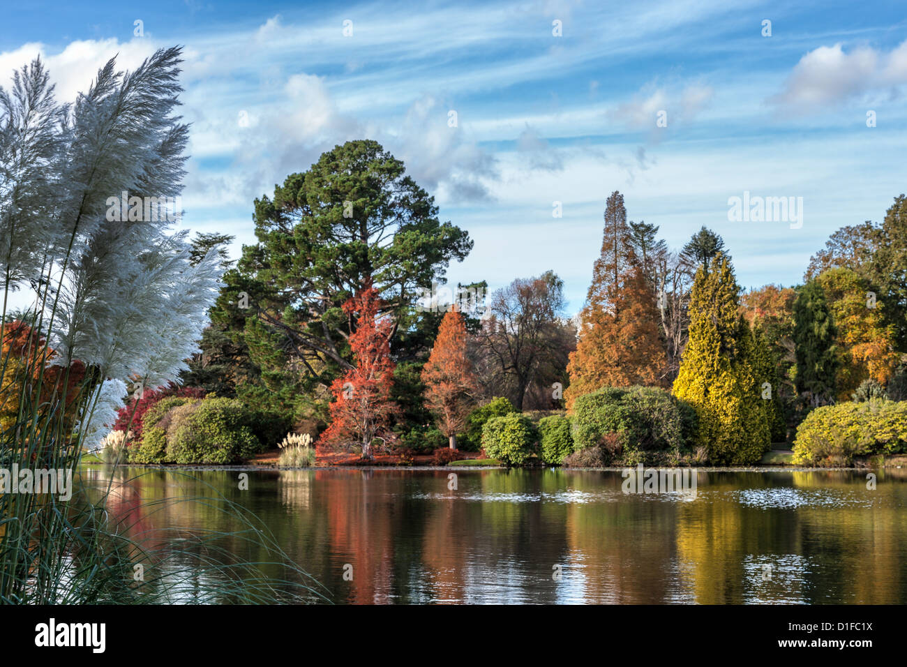 Sheffield Park And Garden High Resolution Stock Photography and Images ...