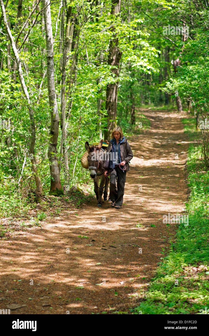 Donkey track hi-res stock photography and images - Alamy