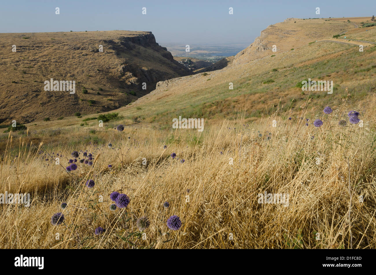 Mount Arbel above the Sea of Galilee, Israel, Middle East Stock Photo ...