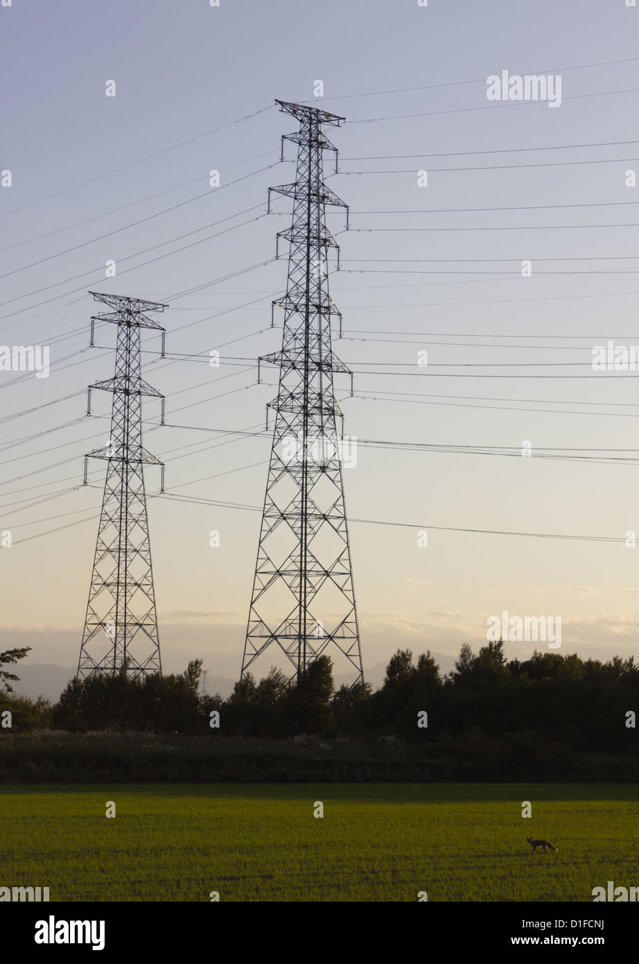 Two transmission towers hi-res stock photography and images - Alamy