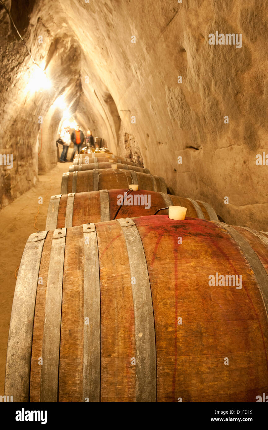 Wooden wine barels in sandstone wine cellar, Novy Saldorf, Brnensko ...