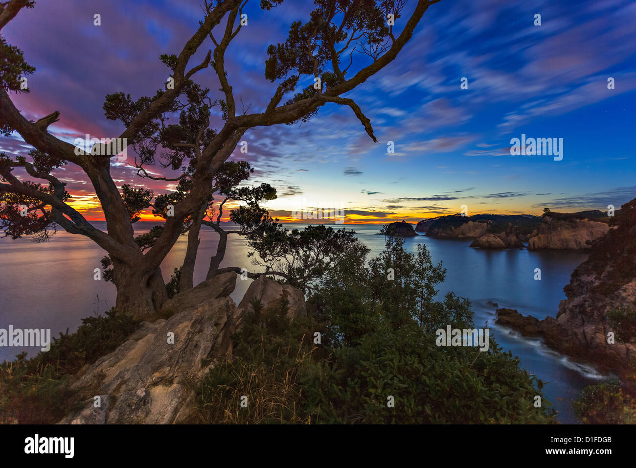 Te pare point hi-res stock photography and images - Alamy